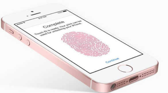 iPhone SE 2 Plus, Yakında Tanıtılması Bekleniliyor! - TeknoDiot.com